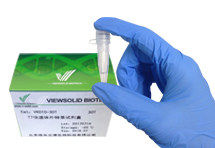 T7 核酸内切酶 I (T7 endonuclease I, T7E1 ) - Beijing beiyou biotechnology co ...