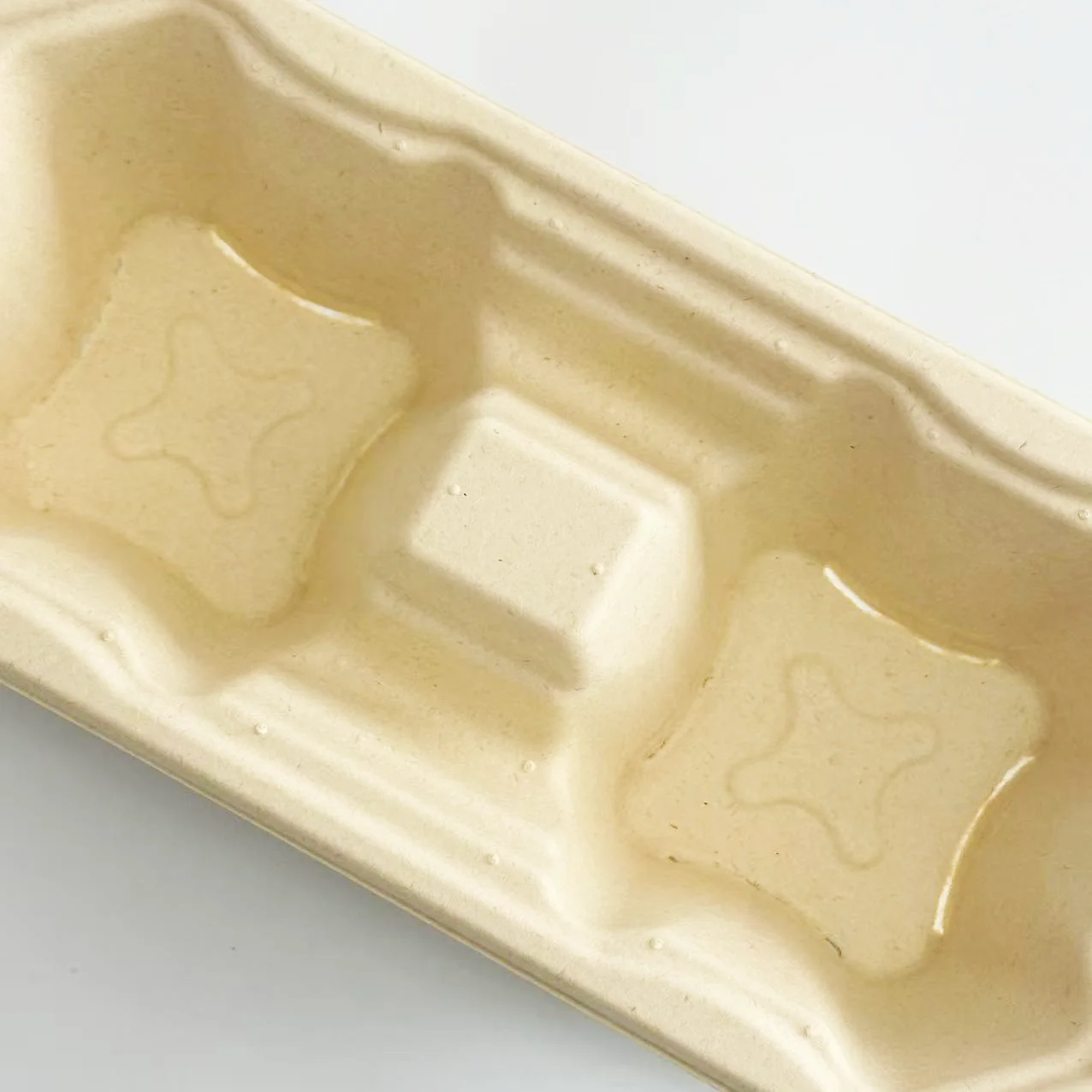 Bamboo Pulp 2-Cup Holder CH2