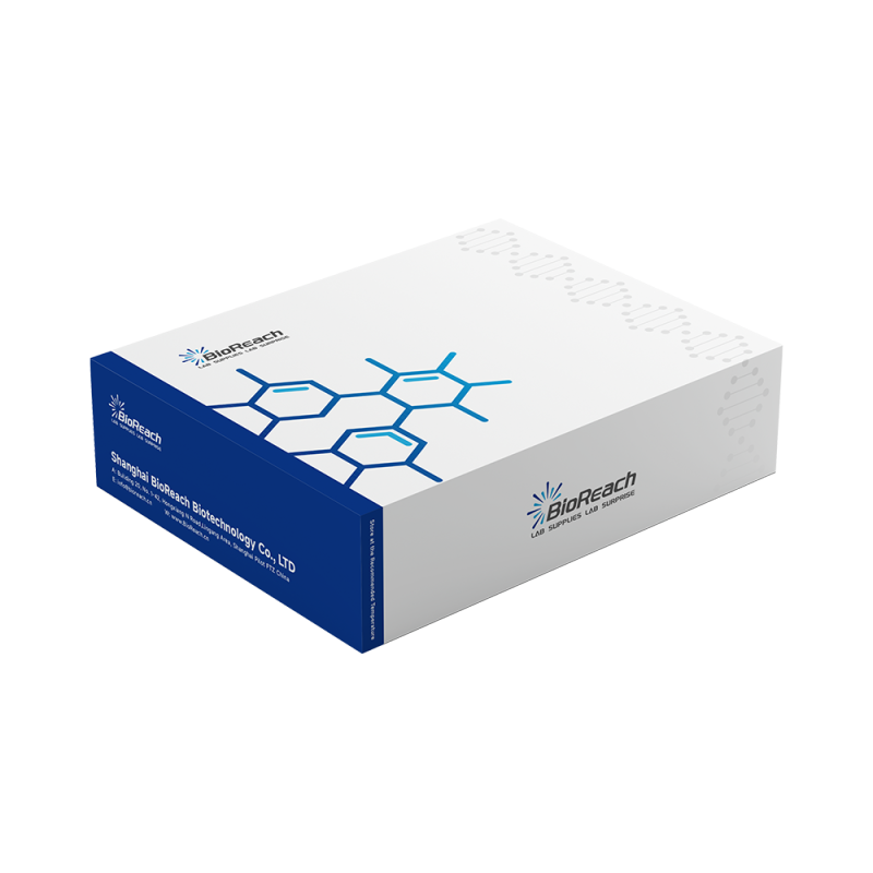 E.coli Residual Total RNA Detection Kit (RT-PCR) - Shanghai Bioreach ...