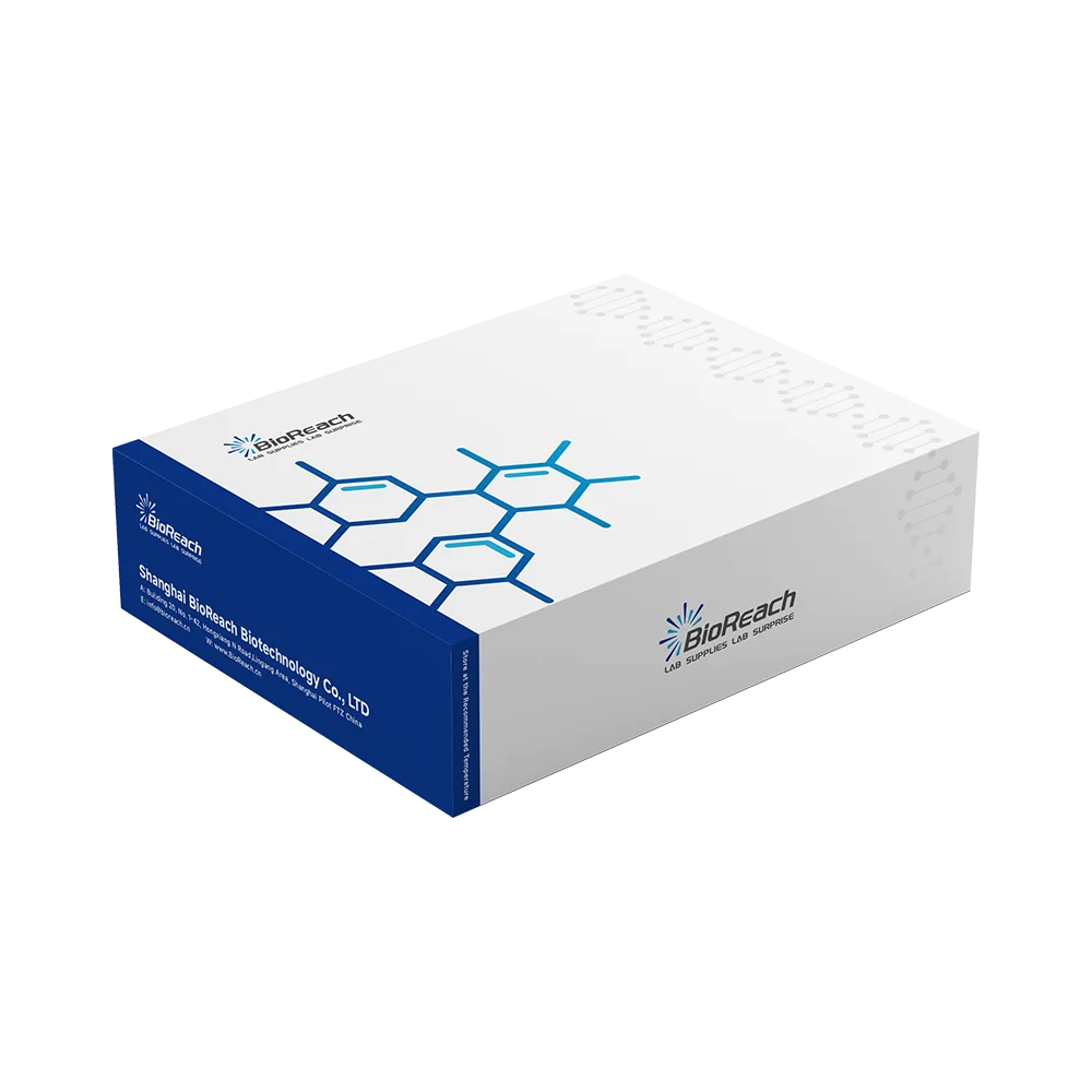 E1A Residual DNA Detection Kit (qPCR) - Shanghai Bioreach Biotechnology ...